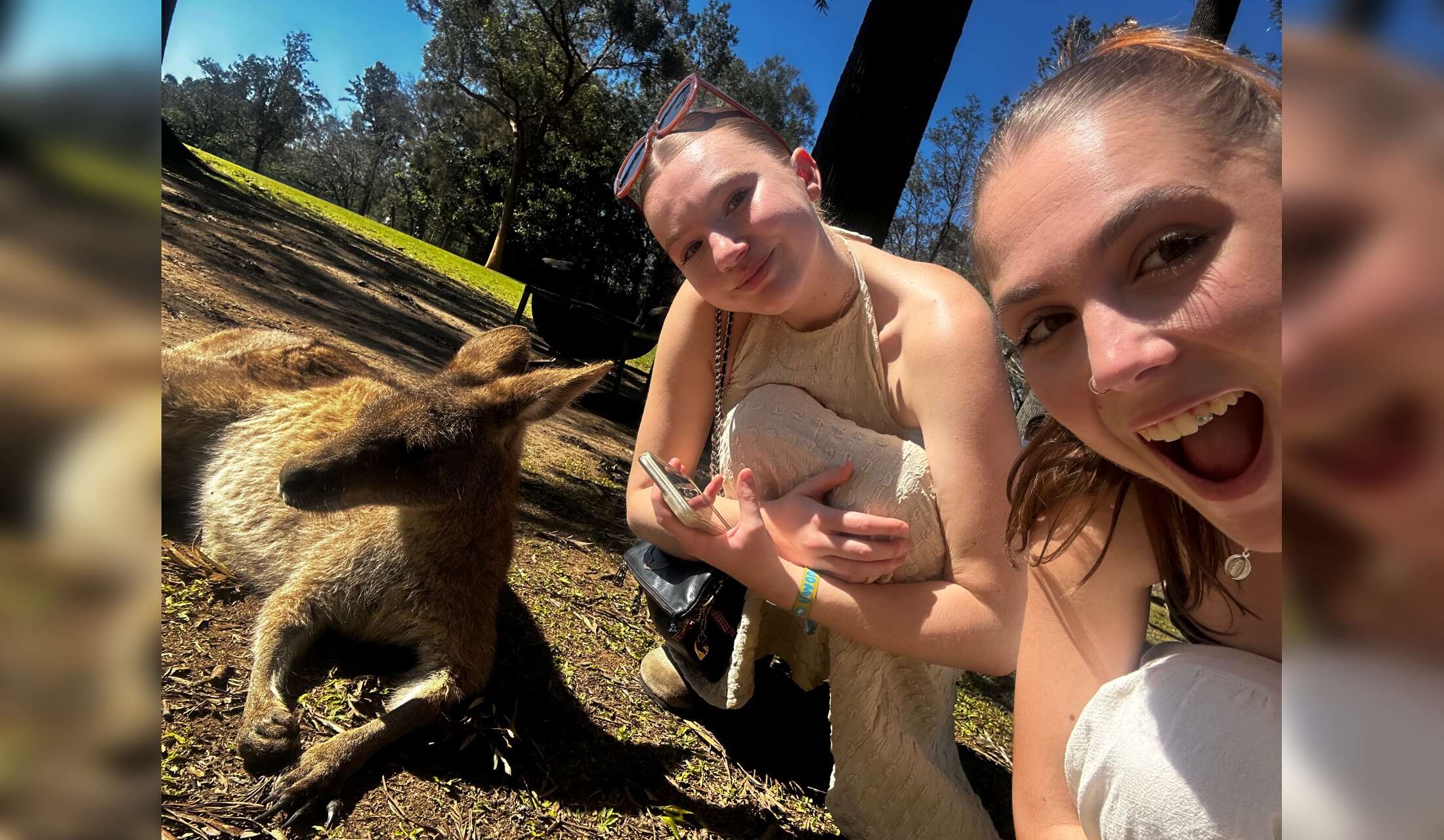 MindMyHouse - 2 Friends Ready to House-Sit for You